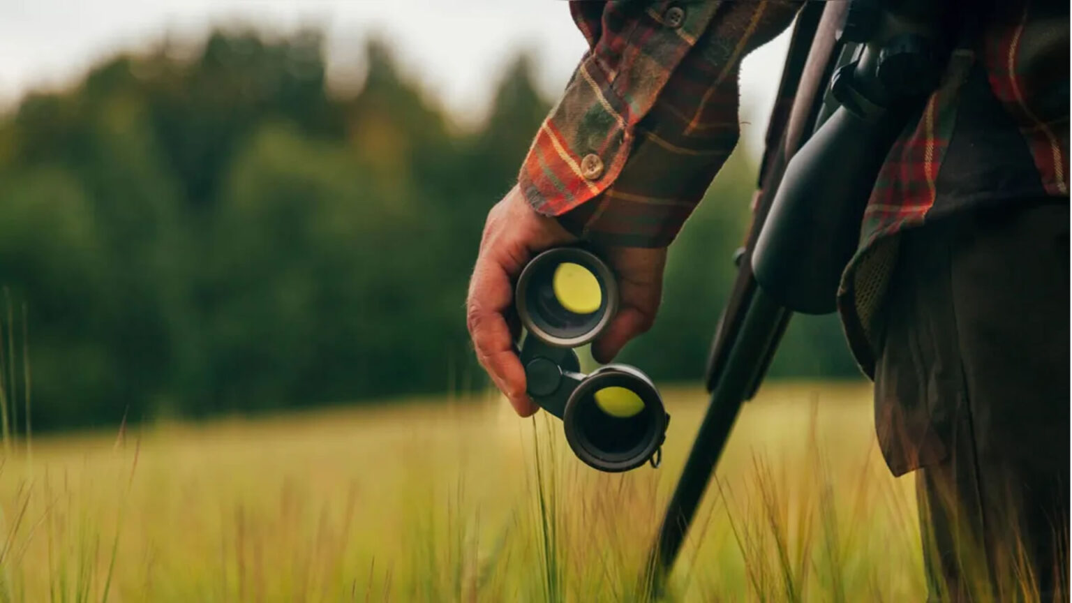 A Legislação sobre a Caça no Brasil – Associação CAC Brasil